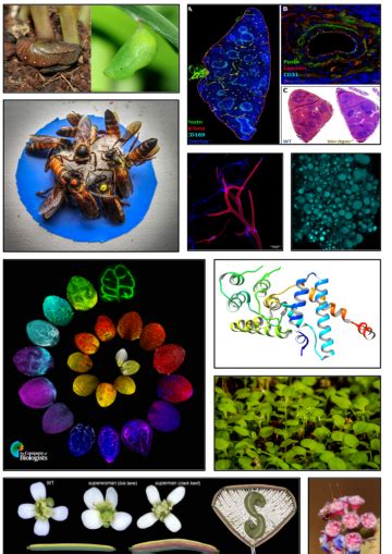 IISER TVM Frontier Symposium In Biology FS BIO 2025 7 9th February 2025