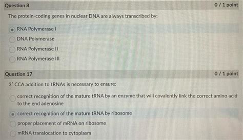 Solved The Protein Coding Genes In Nuclear Dna Are Always Chegg