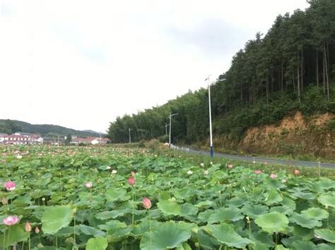 乡村公路好走了，沿途风光更美了，端午小长假这里不能错过