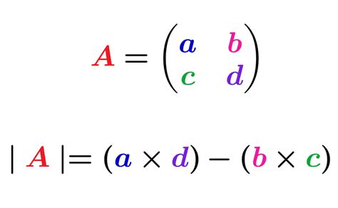 Determinant Of A 2x2 Matrix Examples With Answers Neurochispas