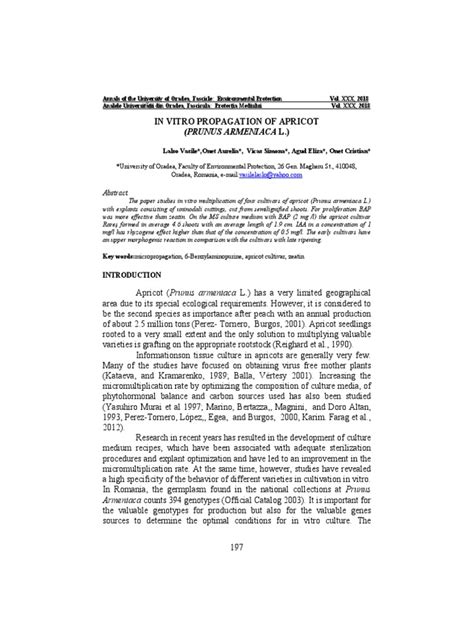 Laslo Vasile Pdf Apricot Fruit