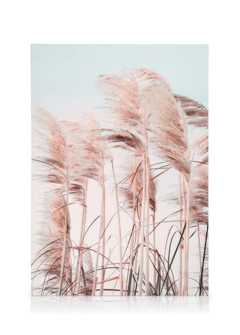 Pink Beach Grass Canvas Pampas Grass Canvas For Serene Decor Poster