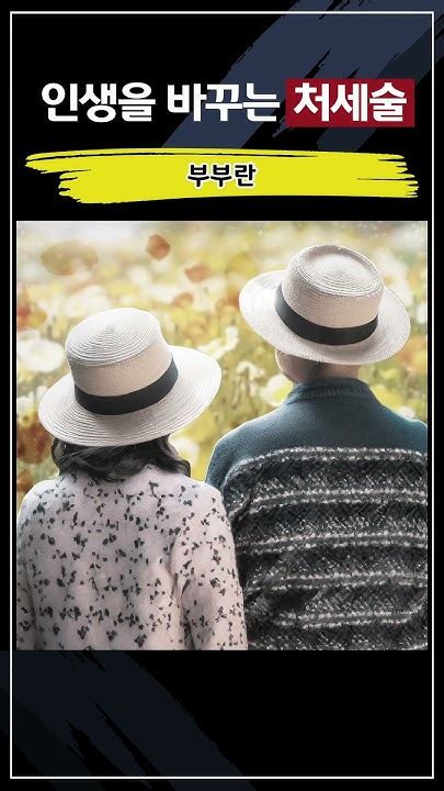 부부란 What Is Husband And Wife Youtube