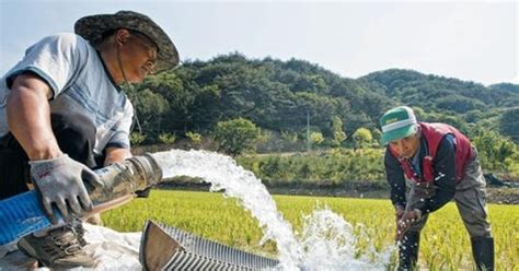 가뭄에 2분기 농사용 전력소비 늘어반도체 수출 호조 전체 전력소비도 증가