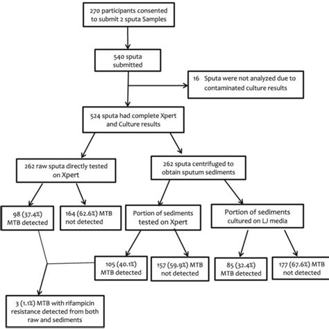 Study Procedures And Proportion Of Ptb Download Scientific Diagram