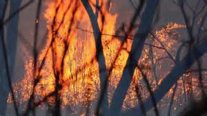 Пожарът край Асеновград е потушен Новини бг