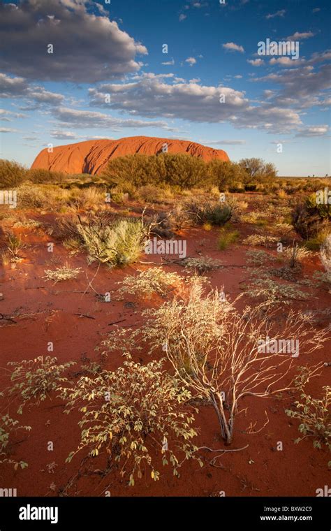 Australia Northern Territory Uluru Kata Tjuta National Park Setting