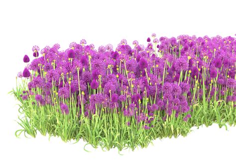 Flower Grass Pngs For Free Download