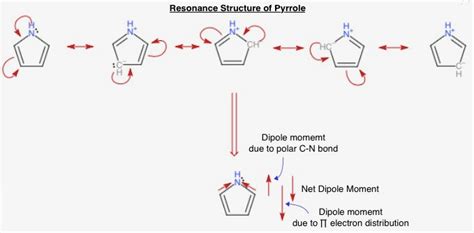 The Dipole Moments Of Pyrrole And Pyrrolidine Are Similar In Quizlet