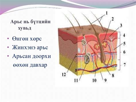 Оракль арьс гоо сайхны эмнэлэг