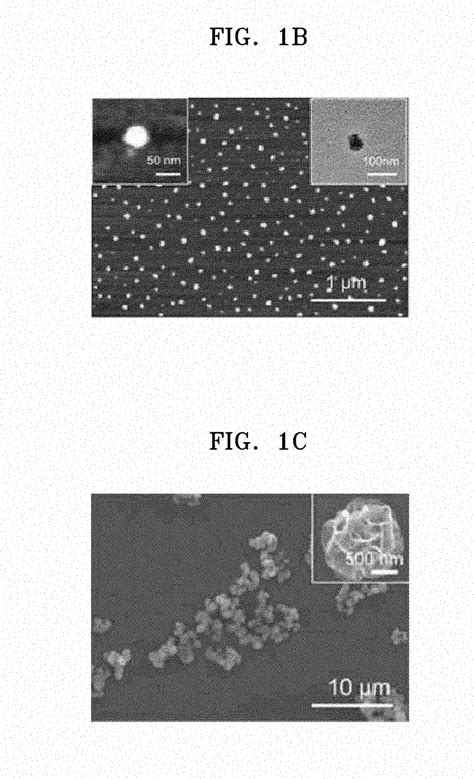 Self Assembled Ribonucleoprotein Nanoparticles Eureka Patsnap