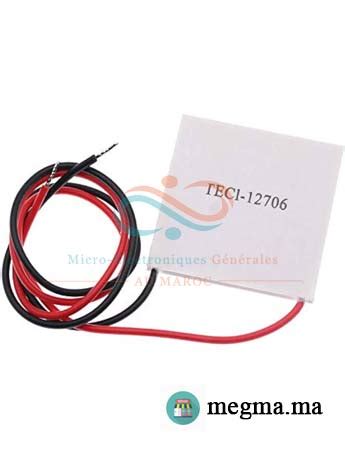 Tec Module Peltier Refroidisseur Thermo Lectrique Megma