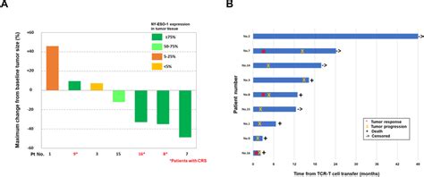 Tumor Responses After TBI 1301 Infusion A Waterfall Plot Of Seven