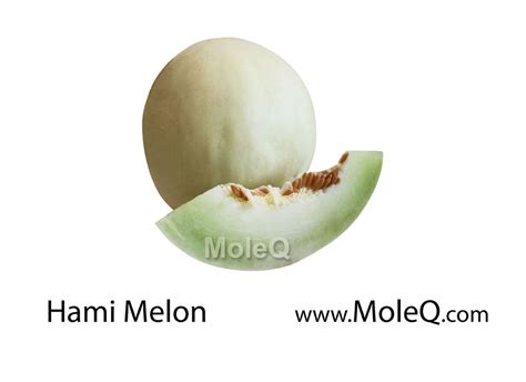 Hami Melon – Moleq Inc. – Food Information