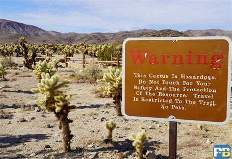 Pandas Groupby Warning Practical Business Python Rpython