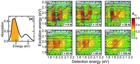Two Dimensional Electronic Spectroscopy 2des Of The A D A Oligomer