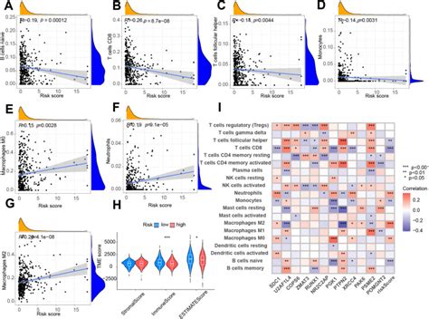 Identification Of Cancer Associated Fibroblast Subtypes And Prognostic