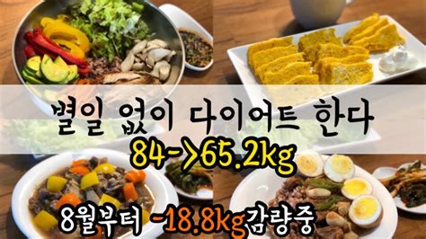 고도비만 다이어트 식단 생리기간 다이어트ㅣ다이어트식단ㅣ다이어트일상ㅣ다이어트vlogㅣ건강한 다이어트 Youtube