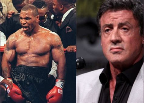 Keep That Son Of B Ch Outside Hollywood Star Sylvester Stallone