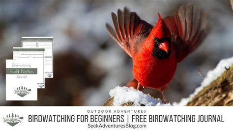 Birdwatching Tips For Beginners Printable Birdwatching Journal