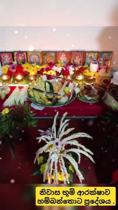 ශ්‍රී මහා නාග පත්තිනි දේවාලය කලුතර 0760230750 Whatsapp 0750471410 Youtube