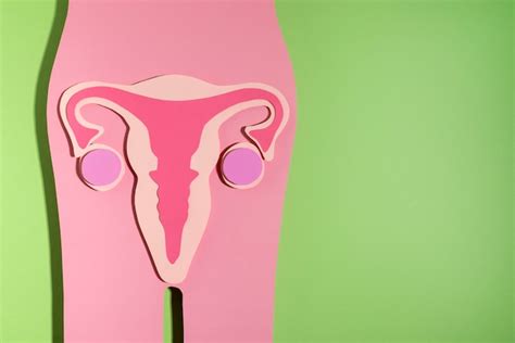 Free Photo Women Reproductive System On Green Background