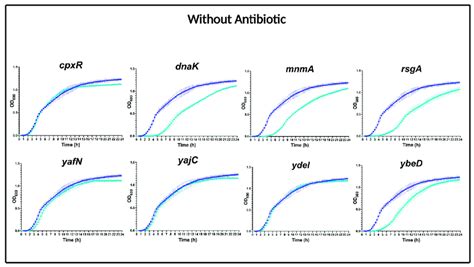 Growth Curves Of Selected Mutants In The Absence Of Antibiotics Growth