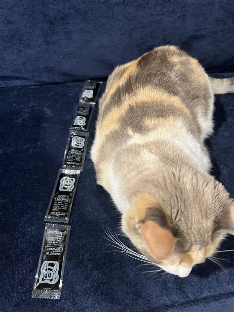 On Twitter RT Fatfatpankocat 5 Soy Sauce Long