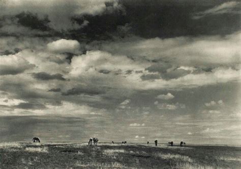Степь Украины, 1931 год. Фотограф Маргарет Бурк-Уайт