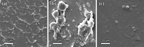 Sem Micrographs Of Zro2 Coatings With Thicknesses A 200 Nm—sample A B