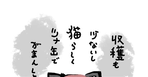 東方 猫缶 お紙のイラスト Pixiv