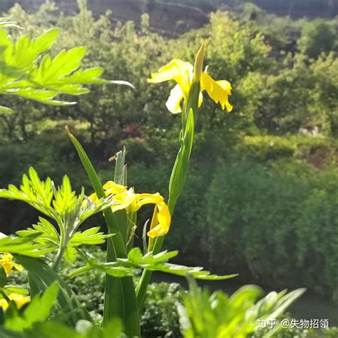 幸福和财富的抉择 知乎