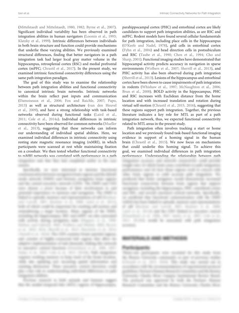 Solution Resting State Connectivity Between Medial Temporal Lobe