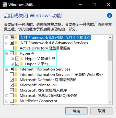 Windows Kali Gui