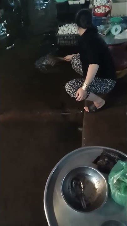 Miền Tây Tôi Của Tôi Youtube