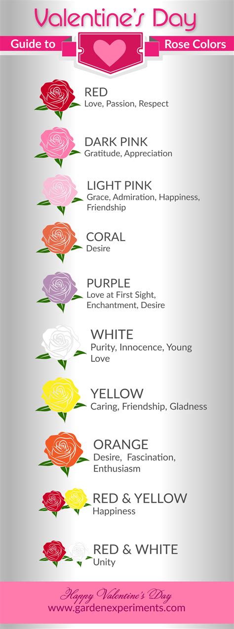 Guide To Rose Colors And Their Meanings