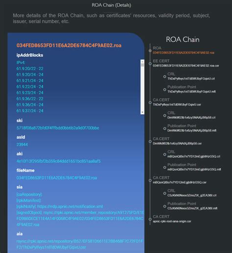 Rpki Monitor And Visualizer For Detecting And Alerting For Rpki Errors