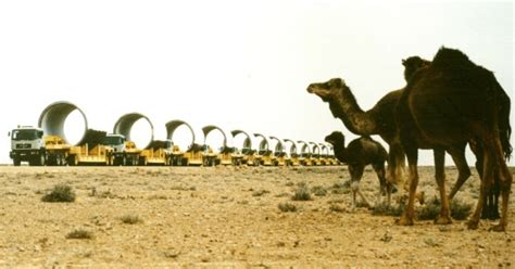 대한통운 리비아 대수로 2단계 공사 마무리 단계 신규사업 진출