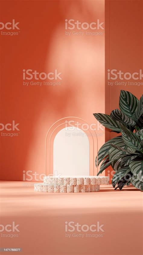 초상화 흰색 아치와 Calathea 식물에 있는 빈 모형 천연 테라조 연단 3d 렌더링 0명에 대한 스톡 사진 및 기타 이미지