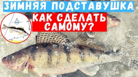 ЖЕРЛИЦА - ПОДСТАВУШКА НА СУДАКА, БЕРША. КАК СДЕЛАТЬ? - YouTube