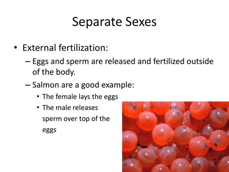 Methods Of Sexual Reproduction Ppt Download