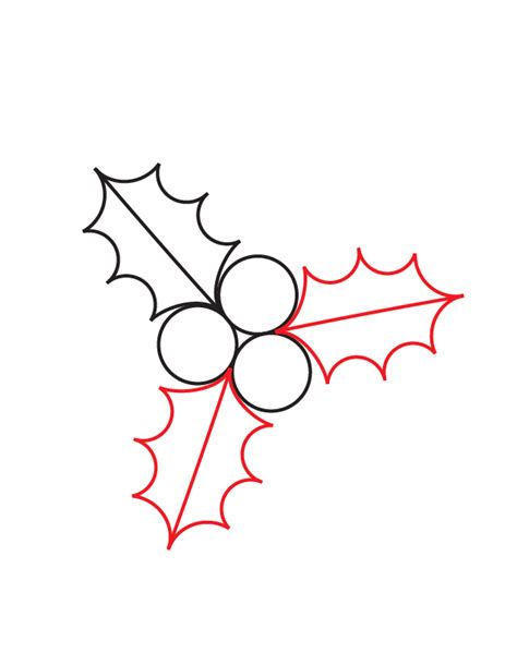How To Draw Holly And Ivy Step By Step