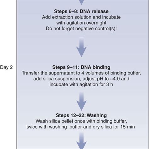 Pdf Ancient Dna Extraction From Bones And Teeth