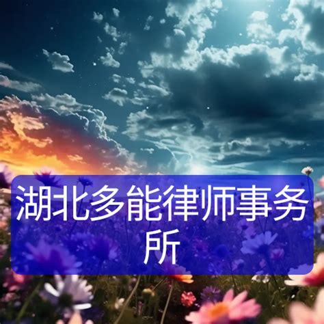 湖北多能律师事务所资料简介 排行榜123网