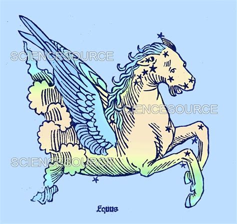 Photograph Horse Equuleus Constellation Science Source Images
