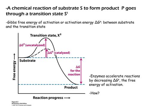Ppt Chapter 8 Enzymes Basic Concepts And Kinetics Powerpoint