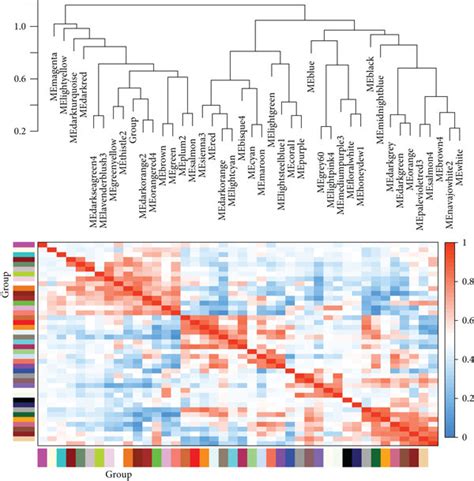 Construction Of Wgcna For The Cingulate Gyrus Of Pd A Sample