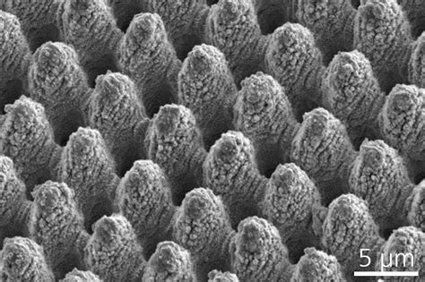 Surface Functionalization With Dlip Fraunhofer Iws