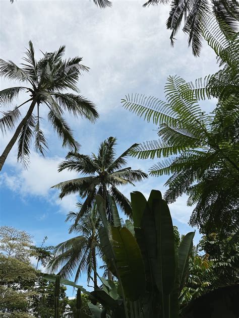 Ilyas Rifalka Shades Of Banyuwangi 🏔️☁️ Instagram