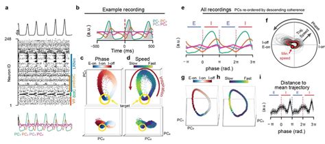 Low Dimensional Manifold Underlie Respiratory Neural Activity Download Scientific Diagram